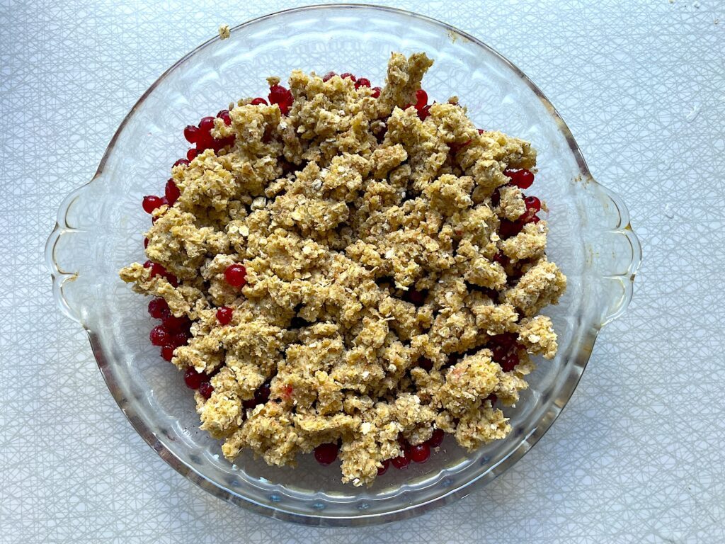 Smulpaj med röda vinbär – recept på en liten paj - MatMalin.se